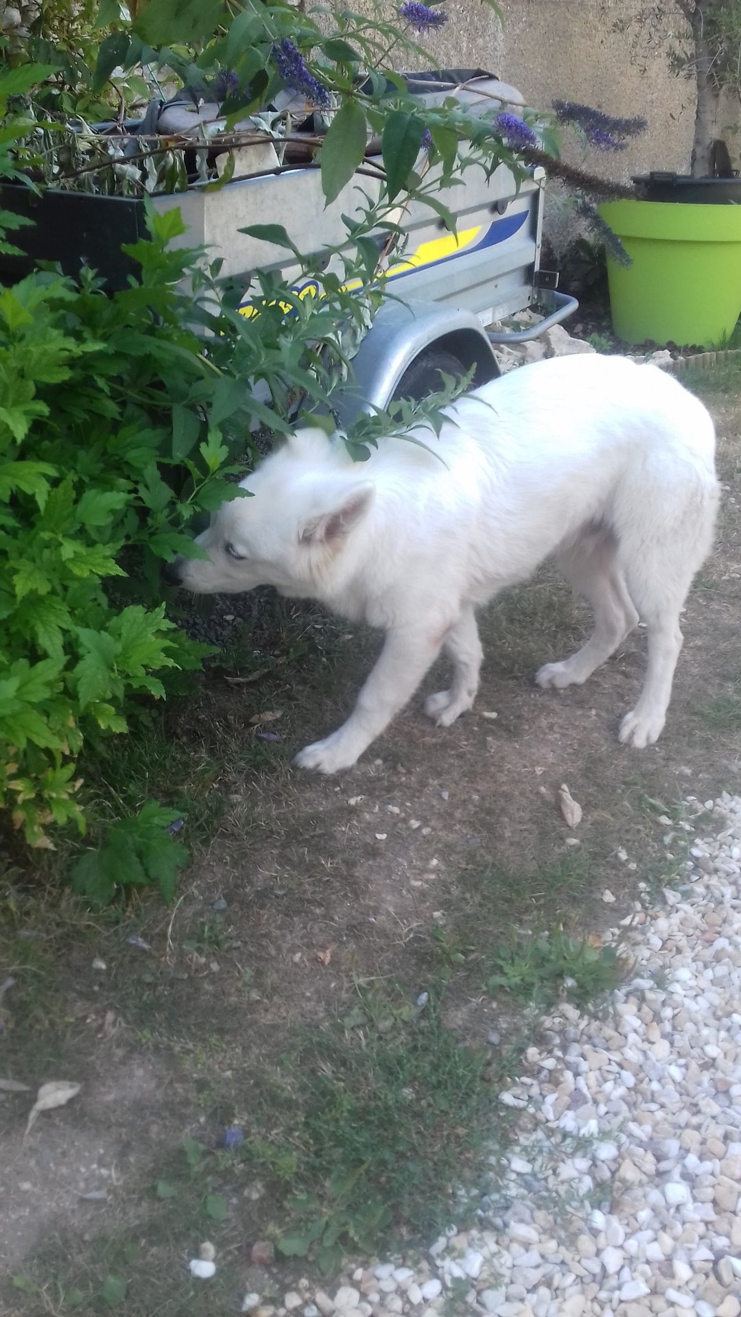 Galerie de photos :: Les-papouilles