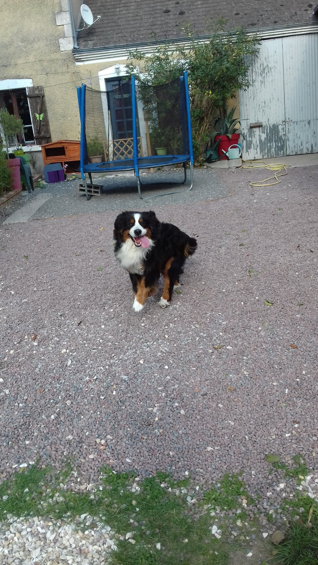 Galerie de photos :: Les-papouilles