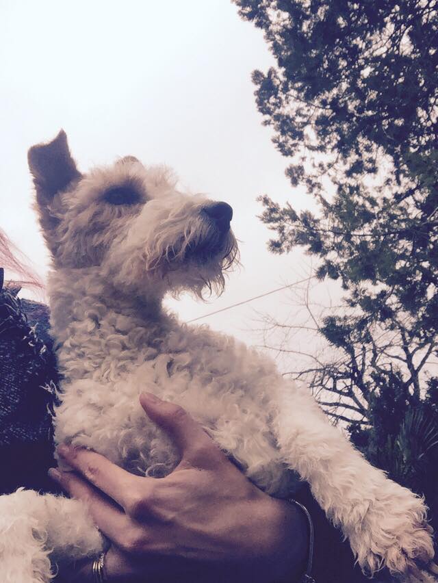 Galerie de photos :: Les-papouilles